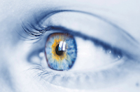 Rabbit Model of Chronic Uveitis | Iris Pharma