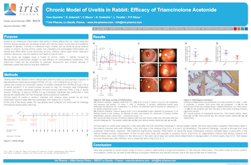 Rabbit Model of Chronic Uveitis | Iris Pharma